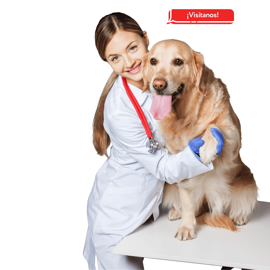 Petopia Costa Rica - Hospital y Centro de Diagnóstico